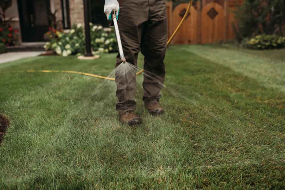 Weed Control Service in Calgary