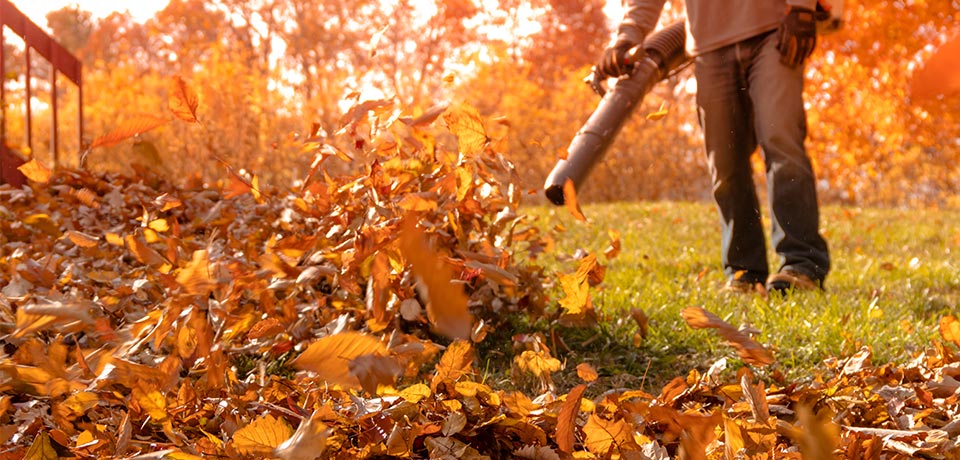 Fall Clean Up in Calgary | Lawn Lovers