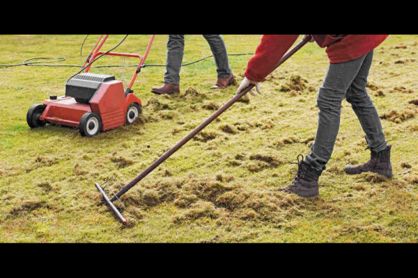 5 Essential Calgary Power Raking Tips - Lawn Lovers