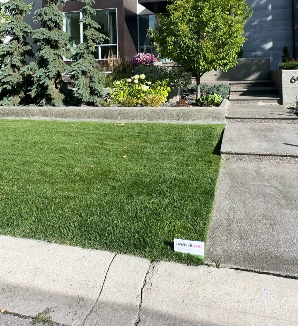 Lawn Lovers CompletePLUS Package - Lawn Lovers